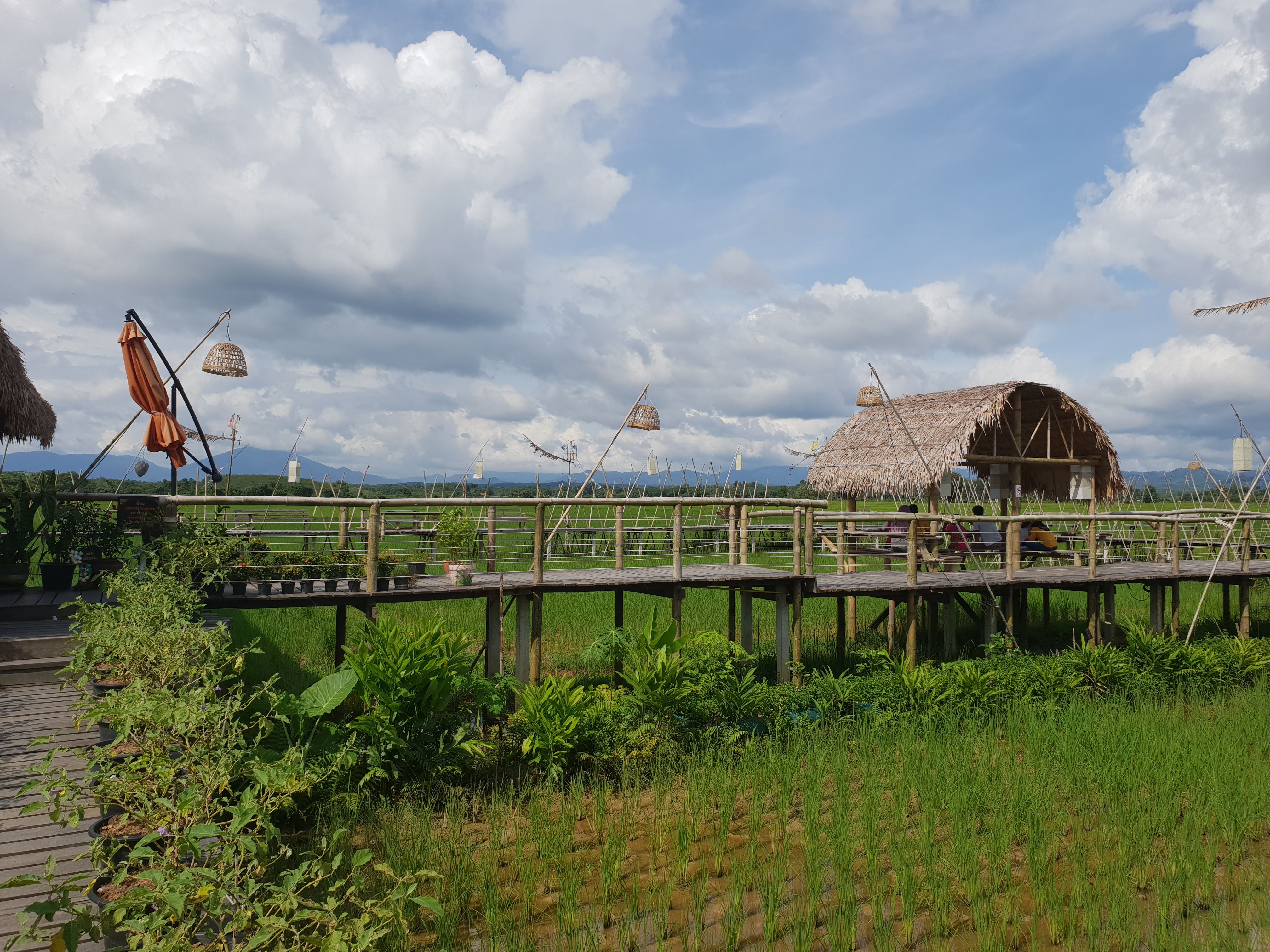 Trang Cooking Class: 20 Authentic Experiences (2025) | Cookly