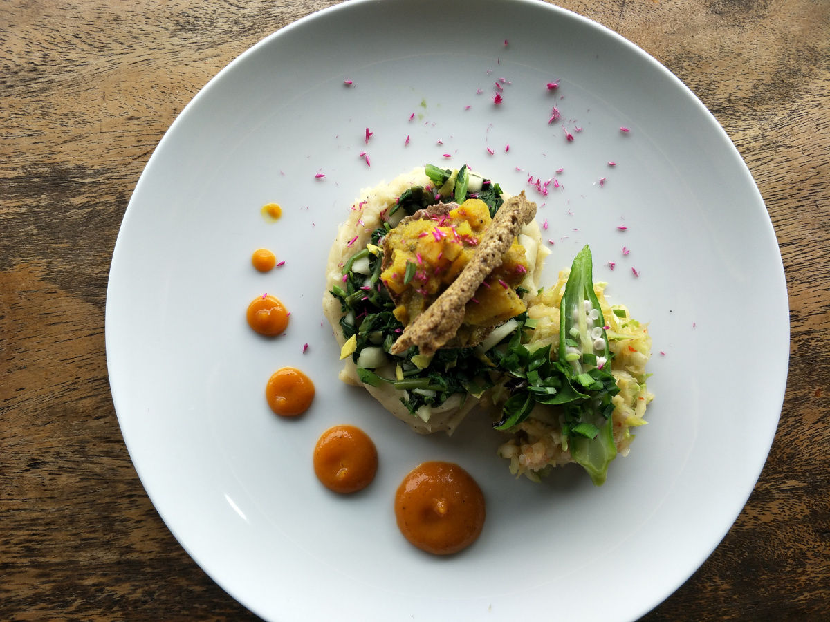 New Earth Cooking: Forage in Rain Forest Gardens and Healthy Vegan ...