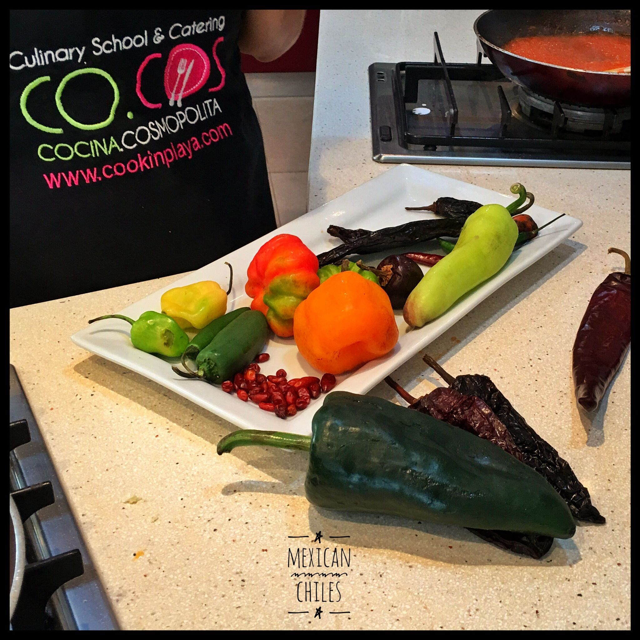 CO.COS Culinary School & Catering: Authentic Mexican Cooking in Playa ...