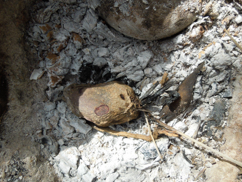 Greek Culinary History & Cooking Adventures: Cooking in Ancient Greece ...