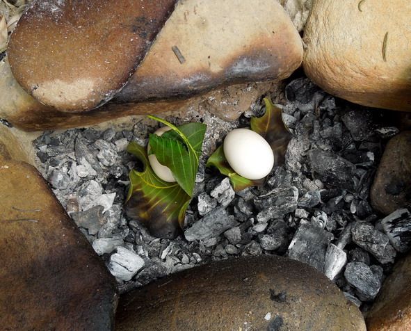 Greek Culinary History & Cooking Adventures: Cooking in Ancient Greece ...