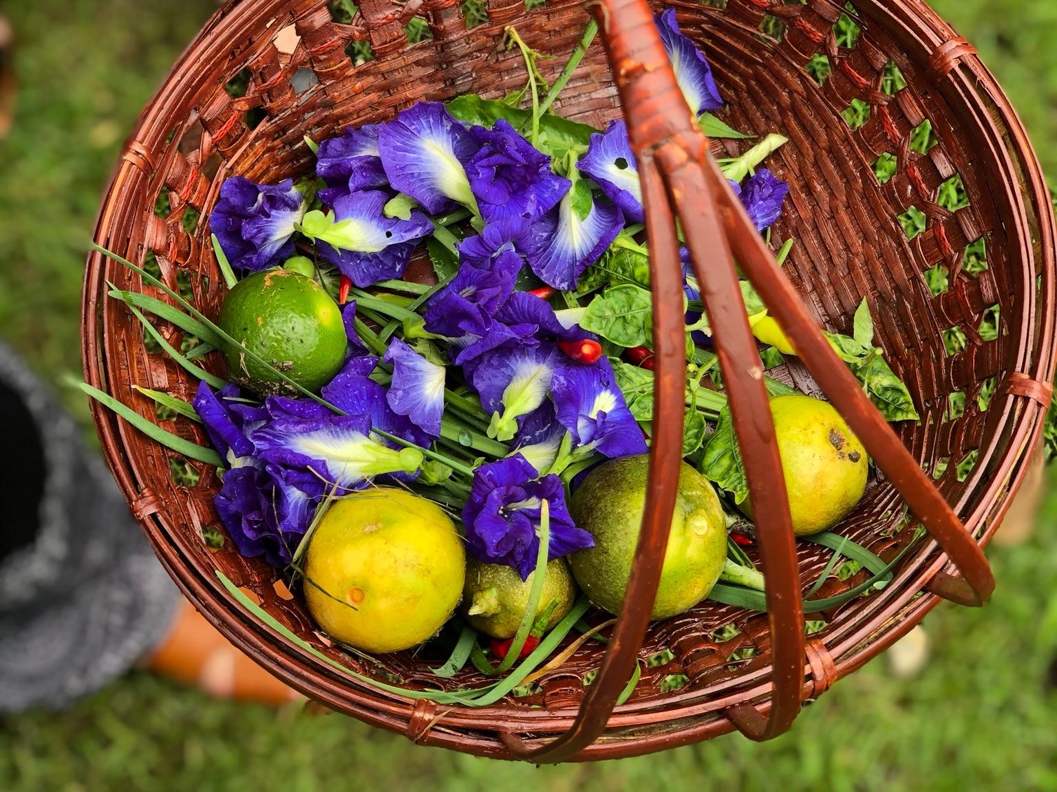 Baan Farm Thai Cooking School: Cooking with Fresh Ingredients at ...
