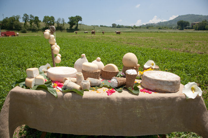 Private Cheese Experience From Grass to Cheese Farm Tour, Cheese Making ...