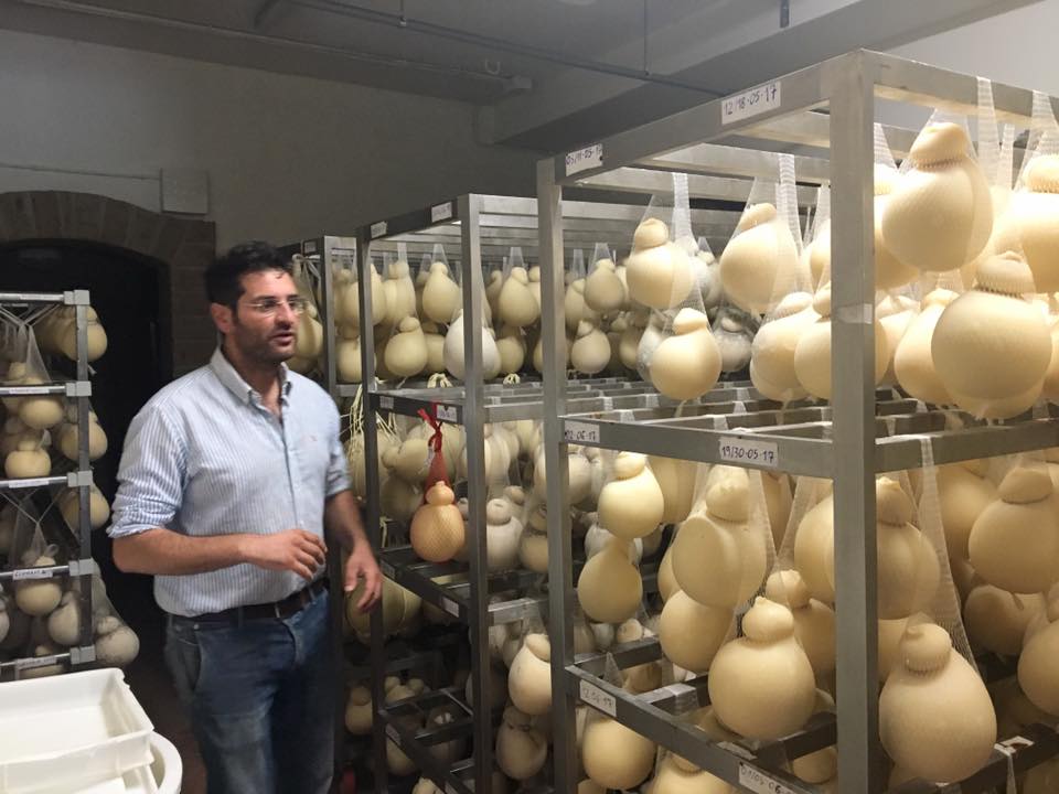 Private Cheese Experience From Grass to Cheese Farm Tour, Cheese Making ...