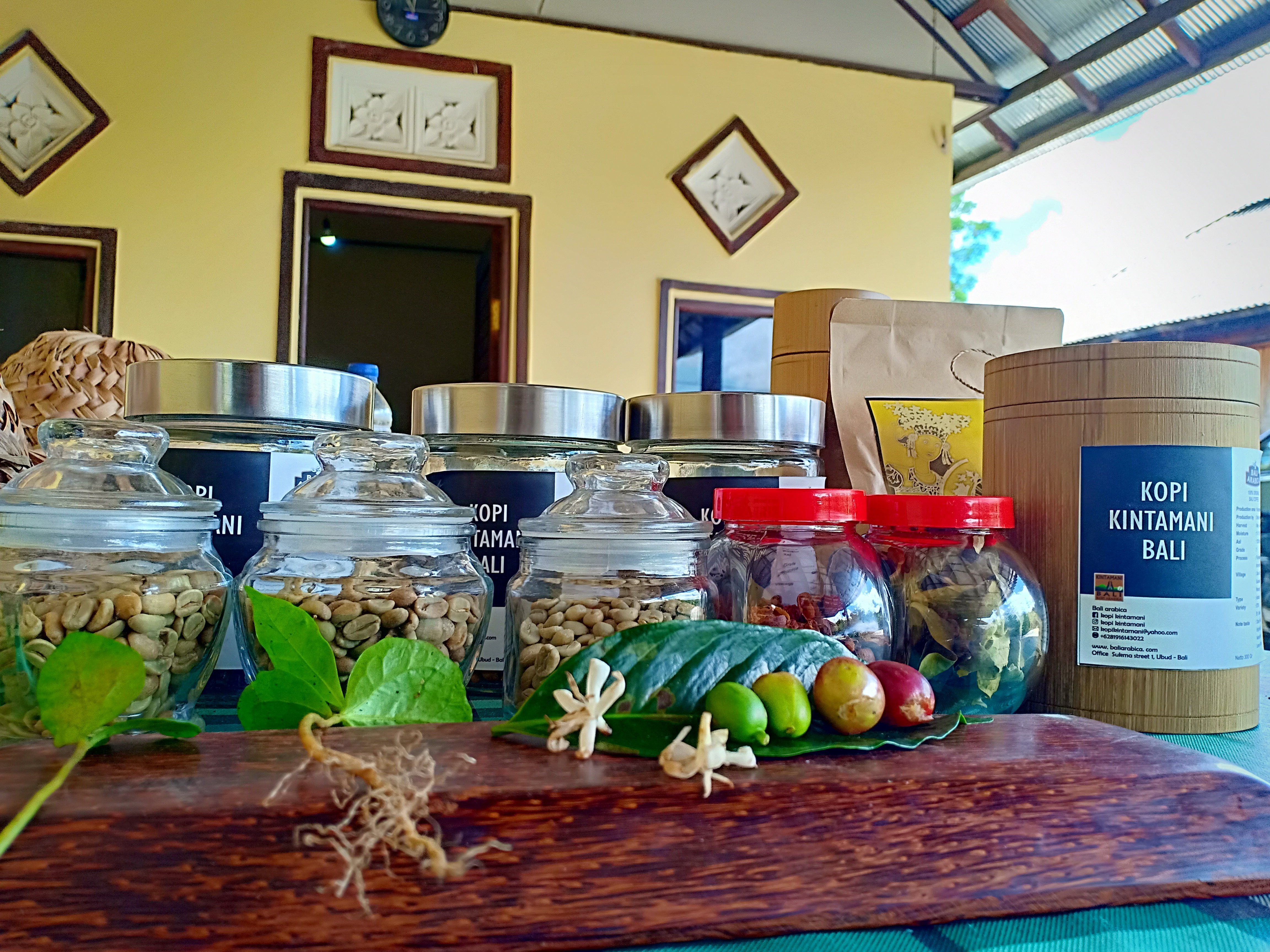 Journey of Bali Coffee: Balinese Coffee Brewing and Farm Tour with ...