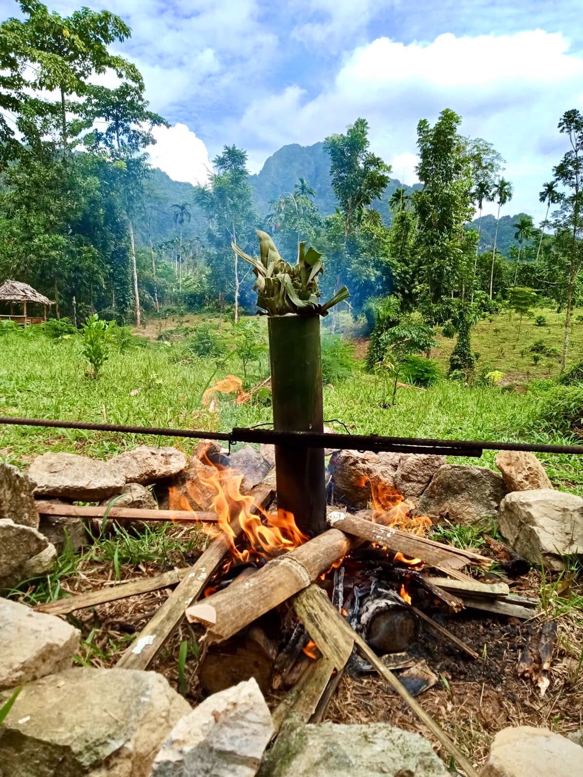 Khao Sok Jungle Cooking: Khao Sok Jungle Cooking - Book Online - Cookly