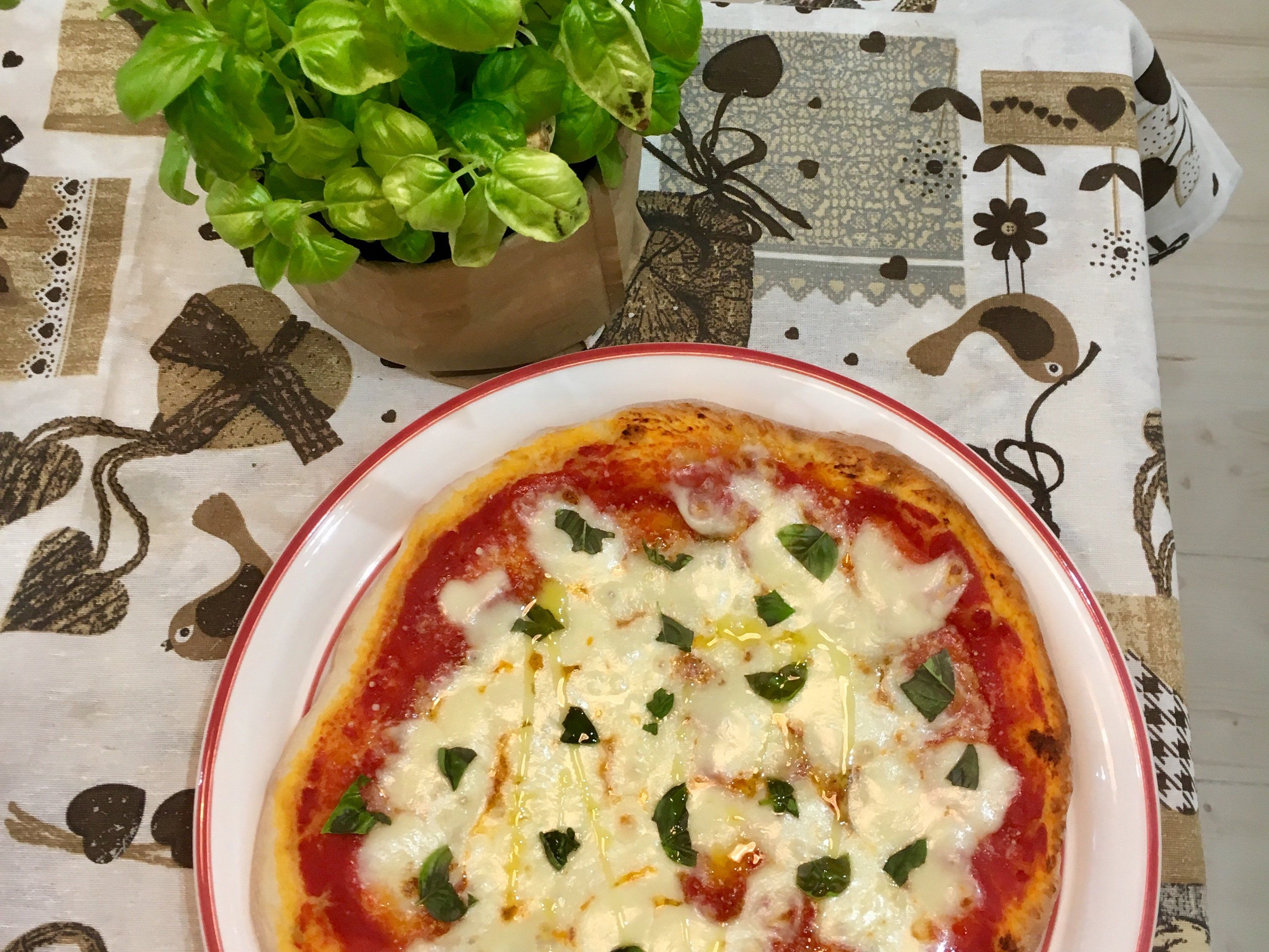 Let's Cook Together: Traditional Italian in a Local's Home - Book ...