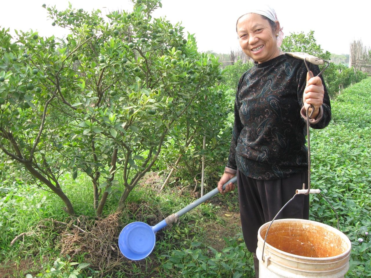 Farm Tour and Cooking with a Local Family in Hanoi - Book Online - Cookly