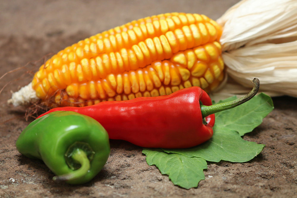 Corn, Beans and Chilis - Mexican Cooking Class with Market Tour and ...