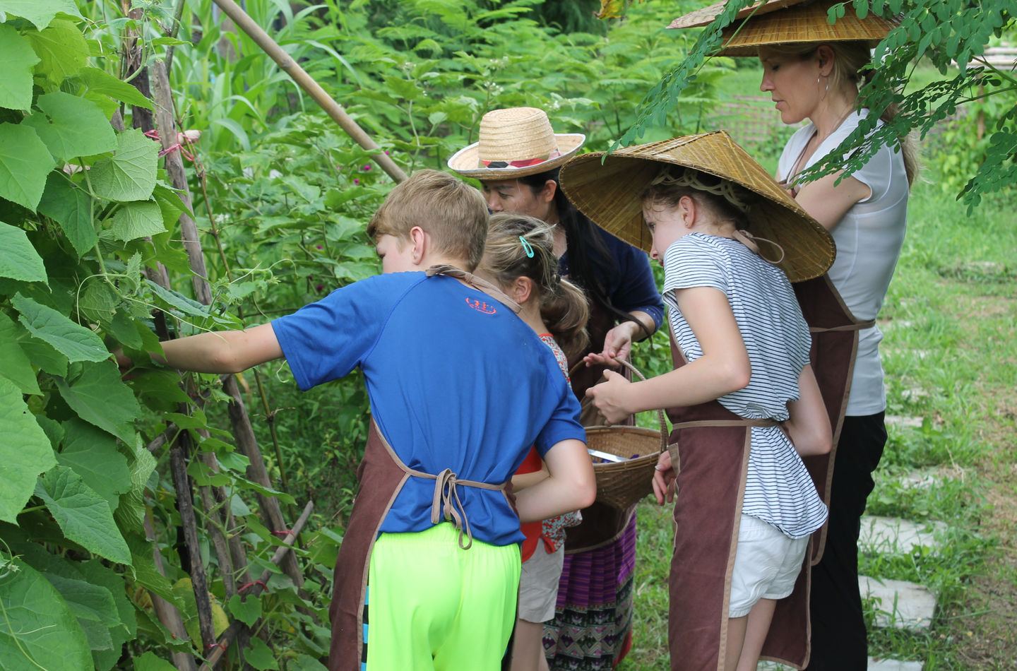 Traditional Lanna Countryside Cooking Experience