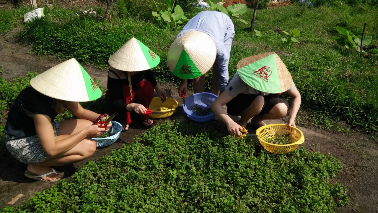 Unique Full Day Healthy Cooking Class in the Farm