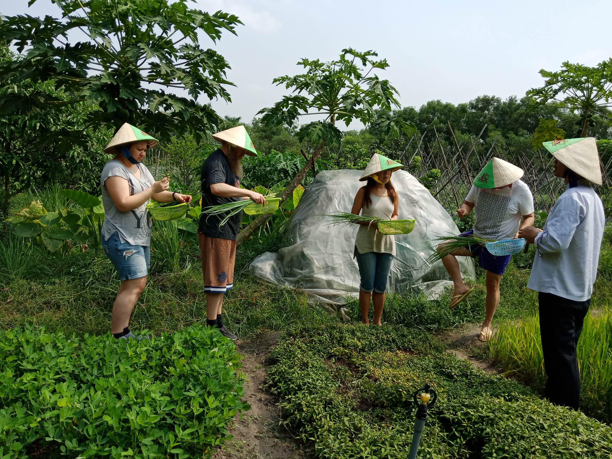 Unique Full Day Healthy Cooking Class in the Farm
