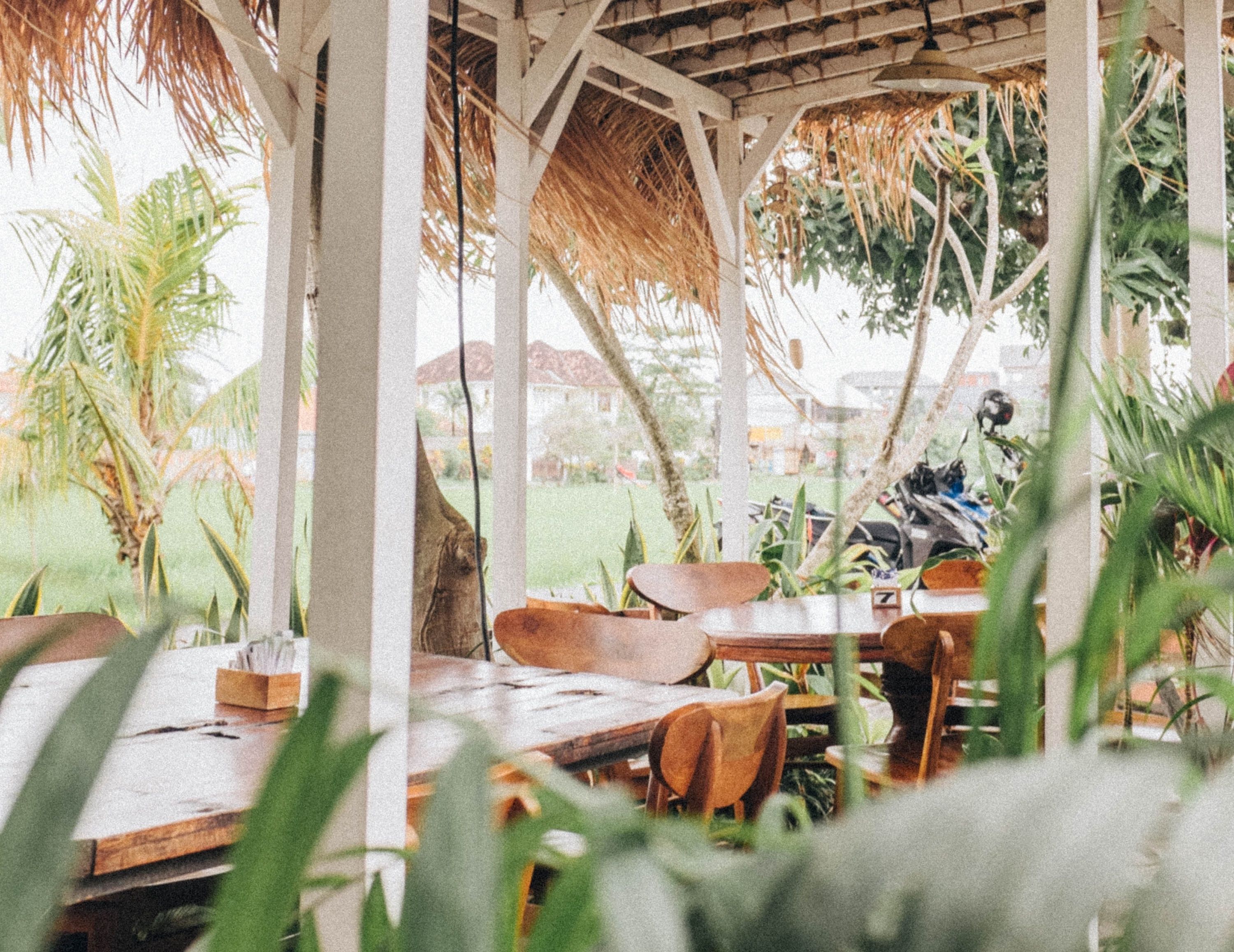 Best Outdoor Cooking Classes in Bali - Book Online - Cookly